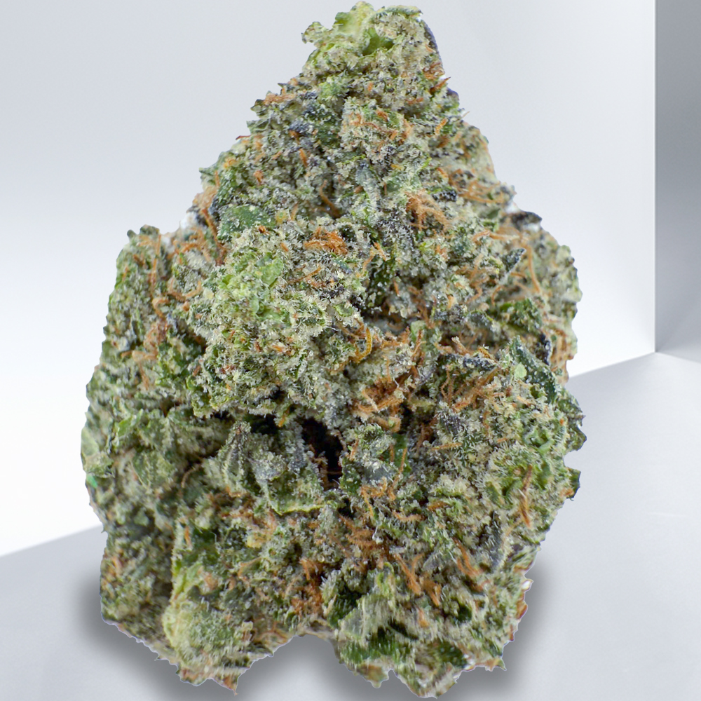 MIKE TYSON KO *SUPER EXOTICS* - theplanet60.com